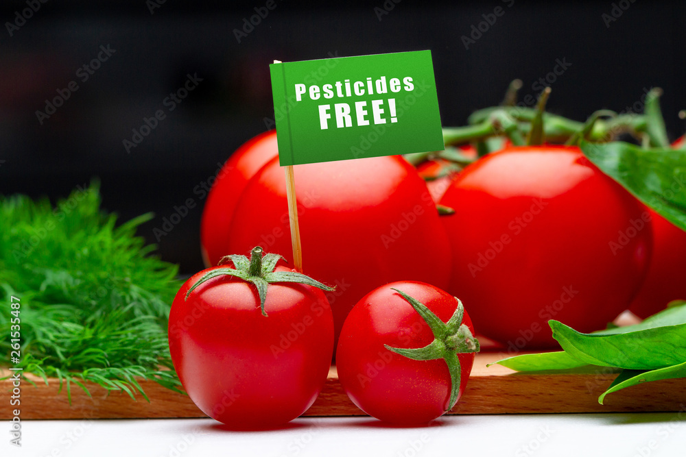 Organic ripe bio vegetables. Eco friendly products for healthy clean ...