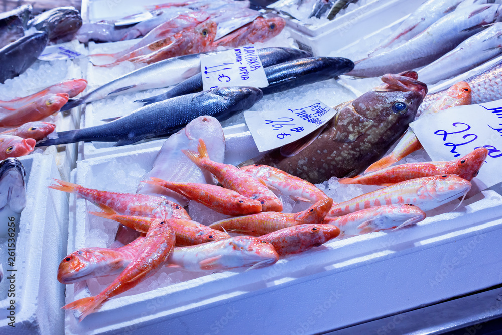 Variety of sea fishes on the counter in a greek fish shop. Concept ...