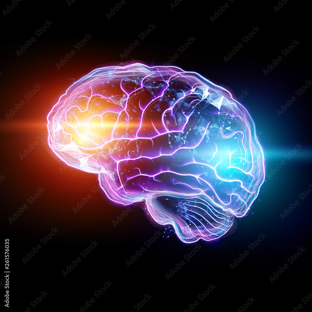 The image of the human brain, a hologram, a dark background. The ...