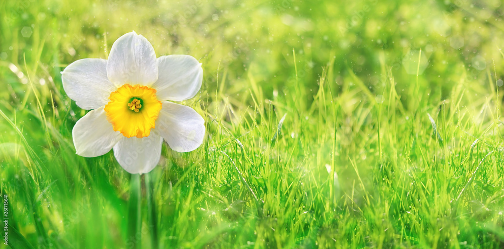 Spring May Wallpaper