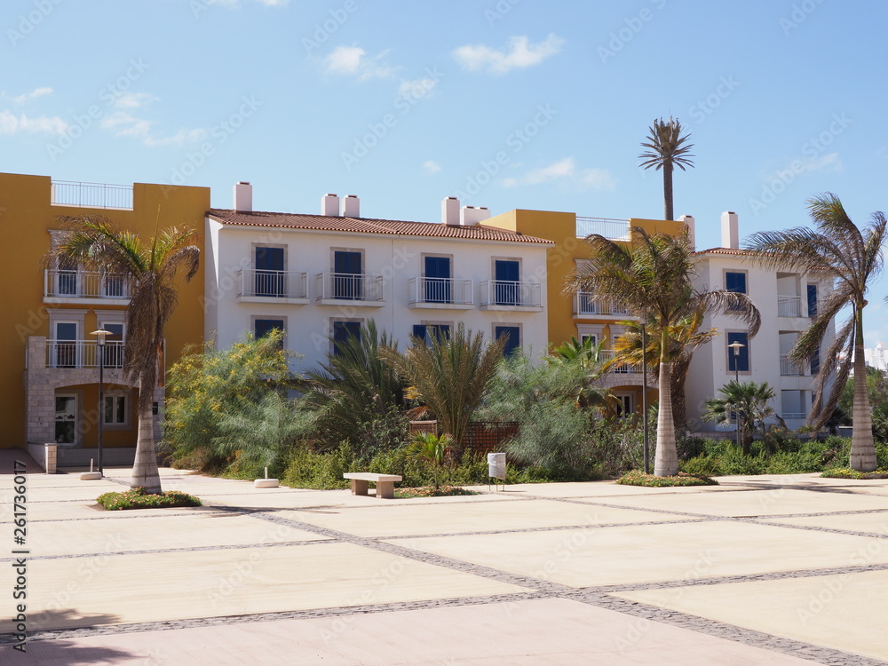 Colored buildings and palm trees at african Sal island in Cape Verde ...