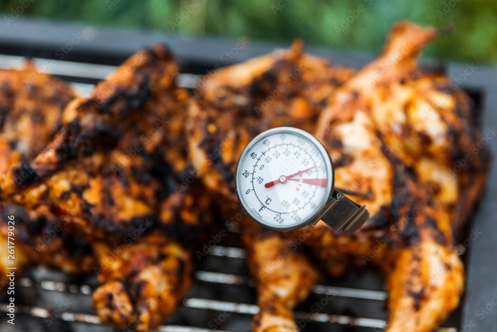 Thermometer spoked into side of chicken to check temperature before ...