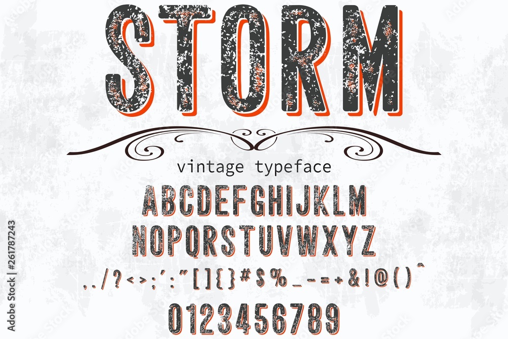 Script Font Typeface vintage script font Vector typeface for labels and ...