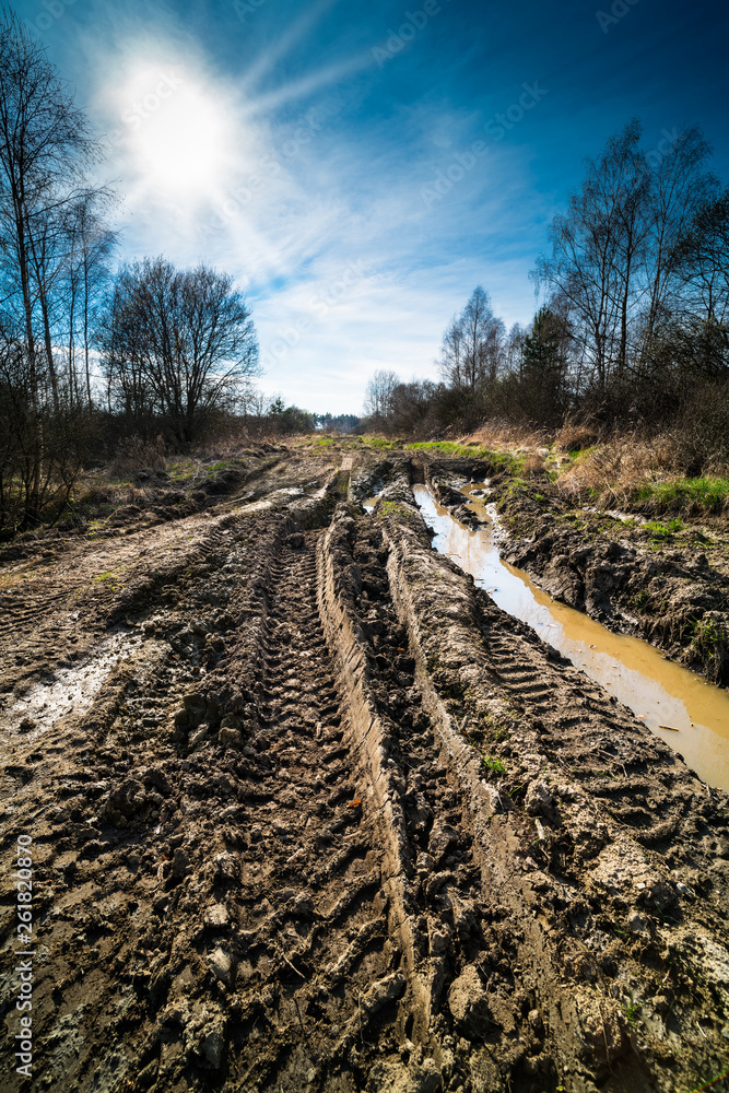 Tire imprints. Off-road track. Sun beams in spring landscape. Puddle in ...