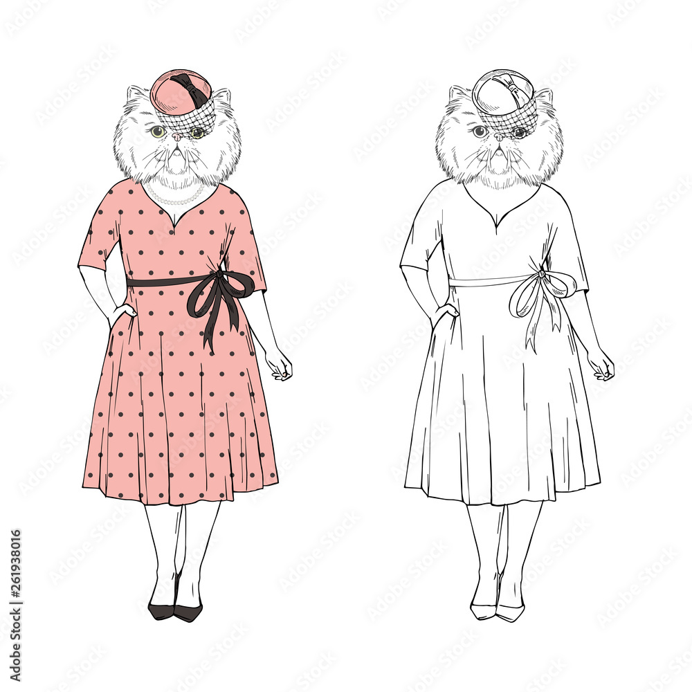 Humanized fat Persian cat woman hipster dressed up in vintage dress and ...