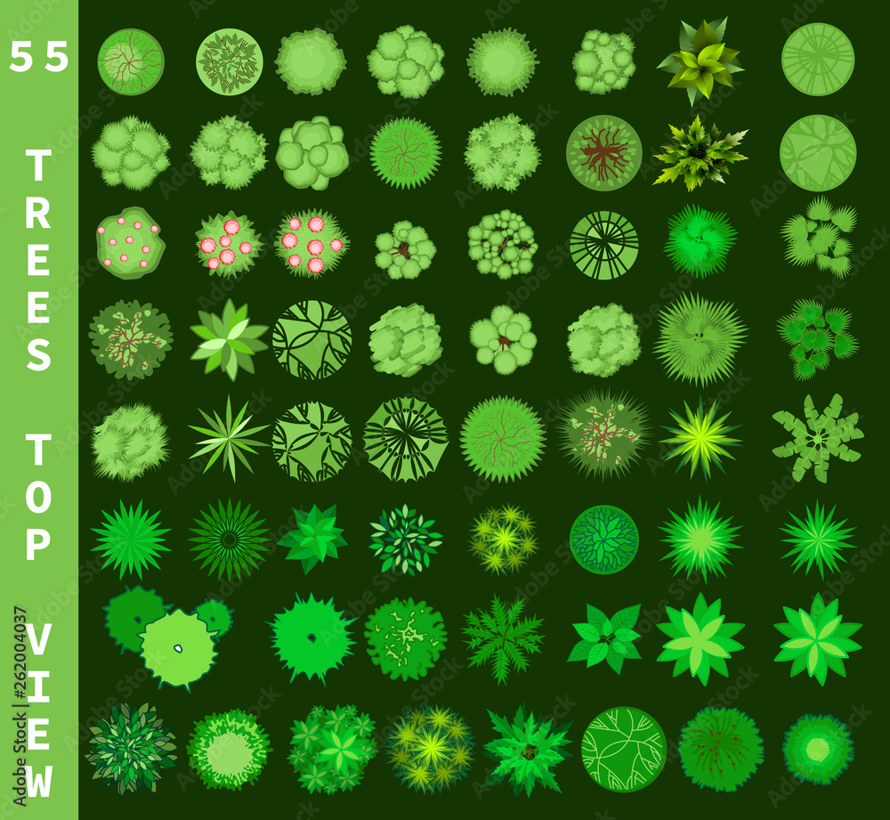 Different trees top view. View from above set for architectural and ...