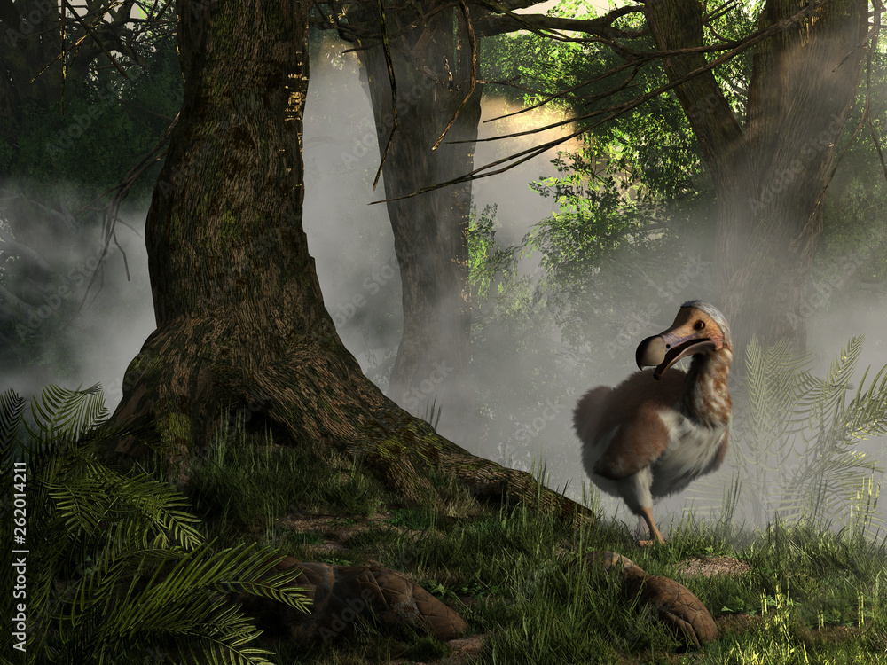 A brown and white dodo bird emerges from the jungle mists. Dodos are an ...