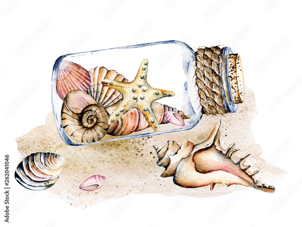 Beach Seashells Drawings