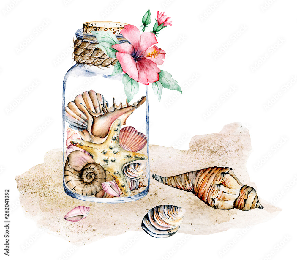 Beach Seashells Drawings