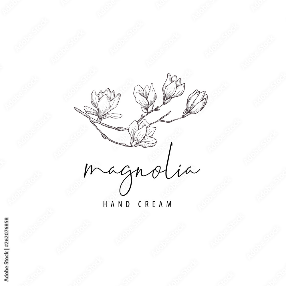 Floral hand drawn design elements. Line art isolated on the white ...