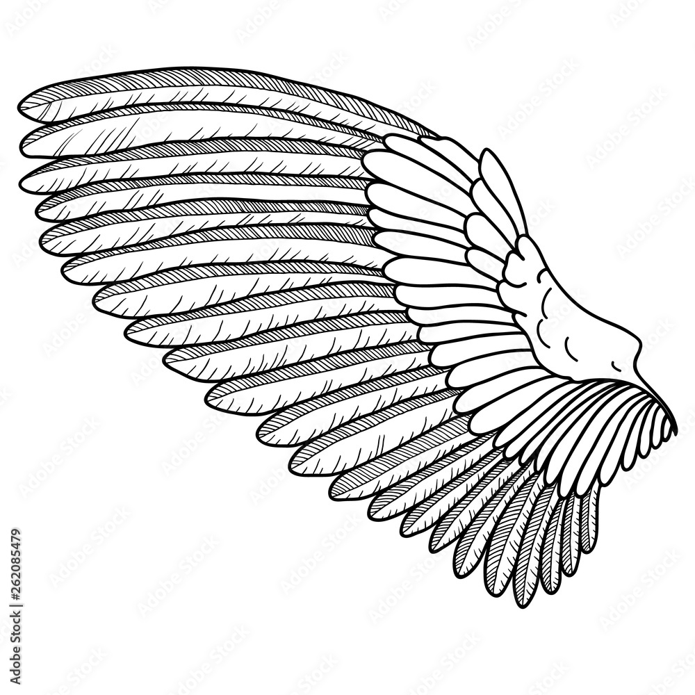 Hand-drawn wing in retro style. Sketch hand drawn, Line art ...