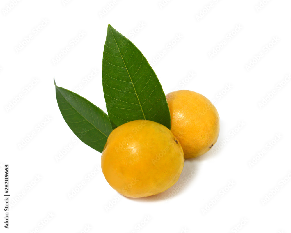 Fruit of Brazil cajarana. Cajá. Sour and delicious fruit with leaves ...