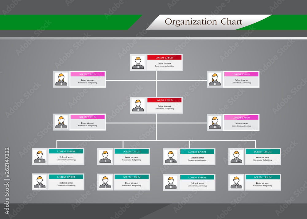 Organization Chart Infographics Stock Vector | Adobe Stock
