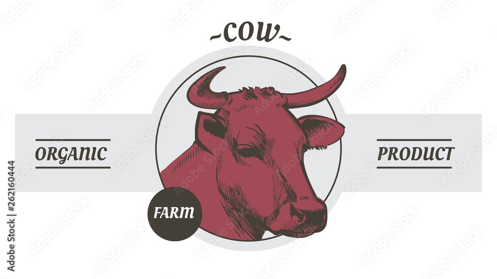 Cow in graphic line style, hand drawing vector image Stock Vector ...