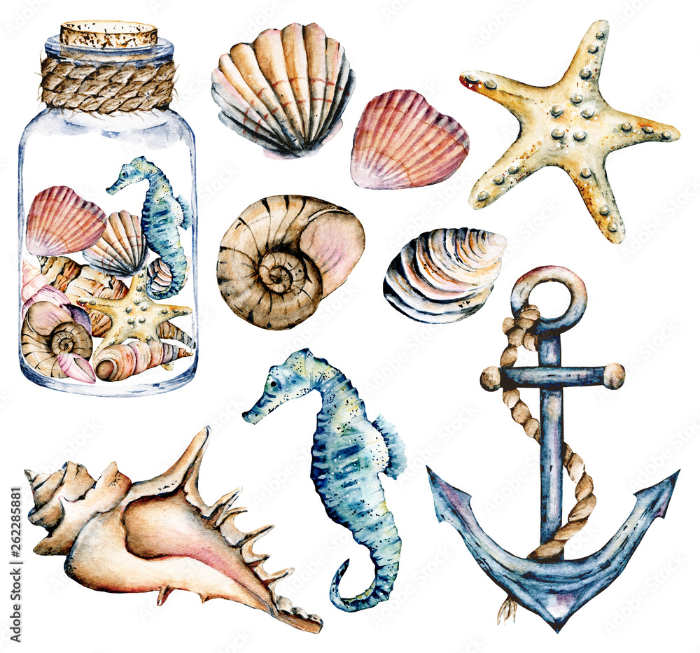 Seashells set, marine scenery. Watercolor anchor, seahorse, starfish ...