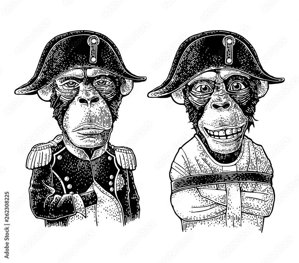 Monkeys dressed in straitjacket and in military uniform. Vintage ...