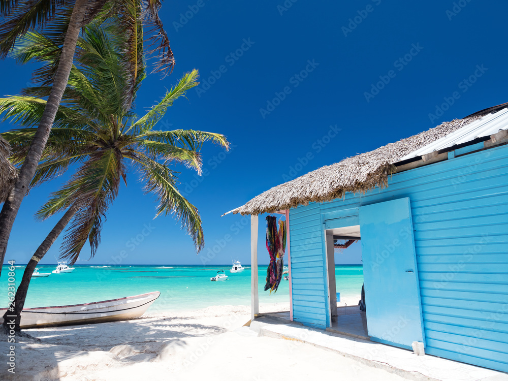 Typical caribbean house near Atlantic ocean beach with coconut palm ...