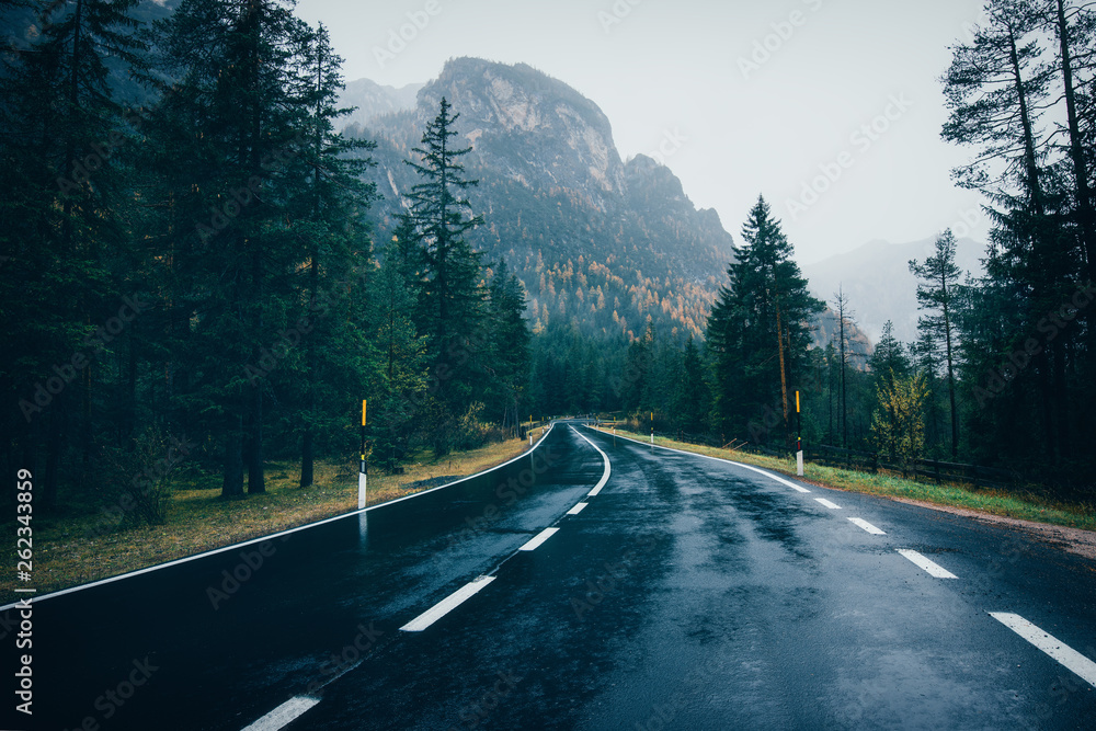 Road in the spring forest in rain. Perfect asphalt mountain road in ...