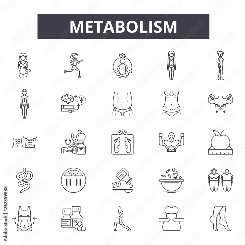 Metabolism line icons, signs set, vector. Metabolism outline concept illustration: metabolism ...