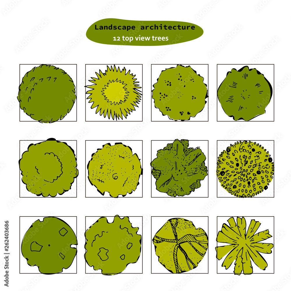 Top view vector set of different green trees.Hand drawn illustration ...