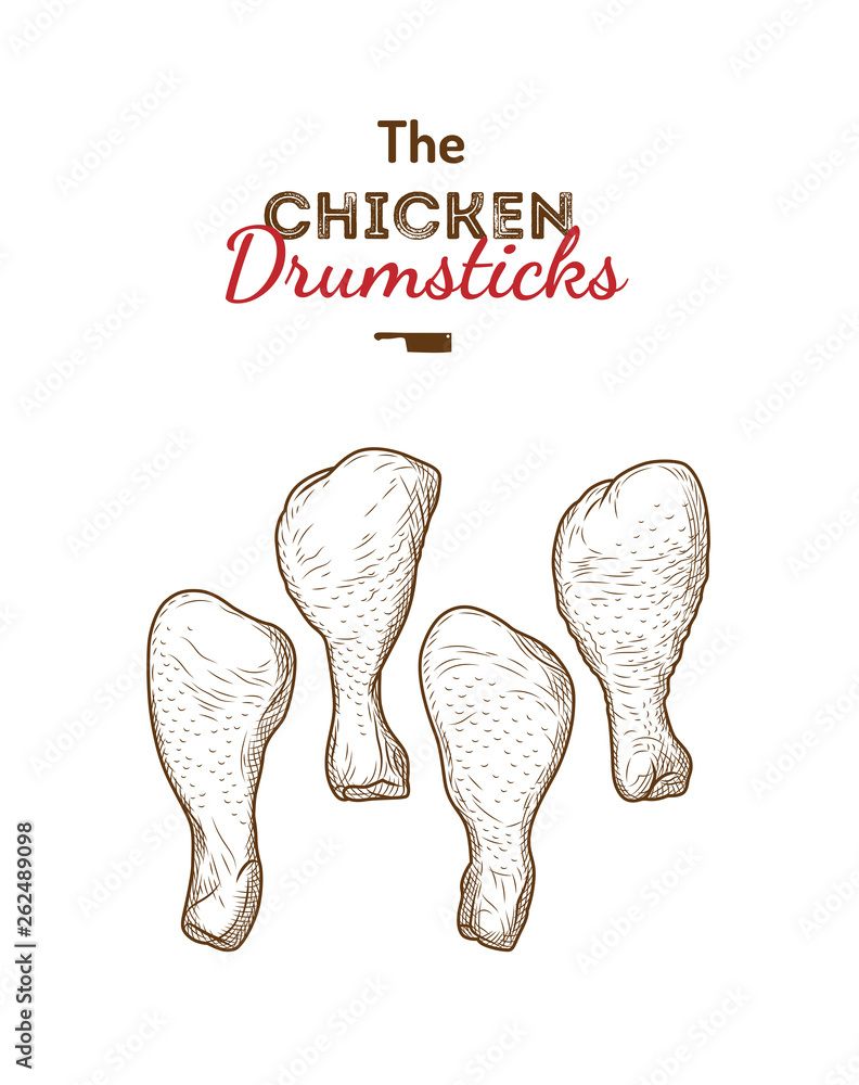 Chicken drumsticks legs drawing illustration. Set of fresh raw cuts of ...