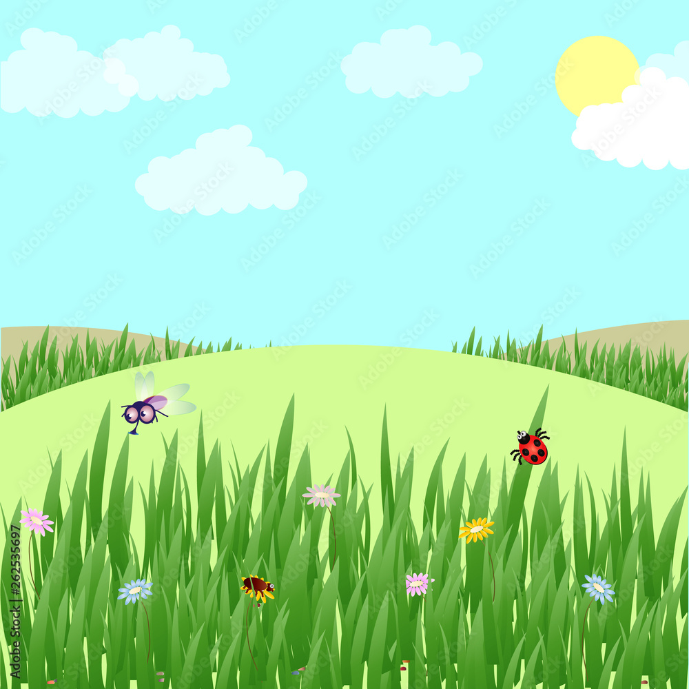 Vector illustration of beautiful field landscape with a dawn, green ...