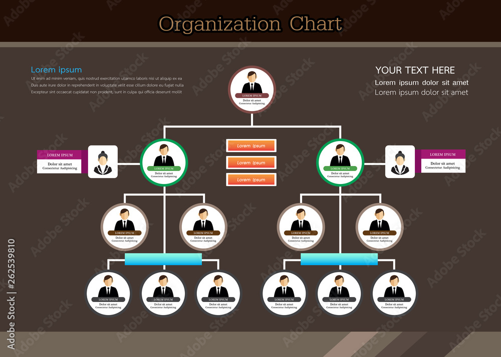 organization chart template Stock Vector | Adobe Stock