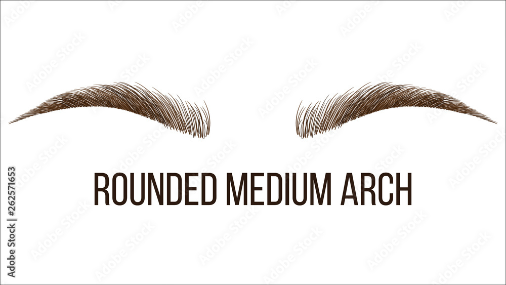 Rounded Medium Arch Vector Hand Drawn Brows Shape. Permanent Brows ...