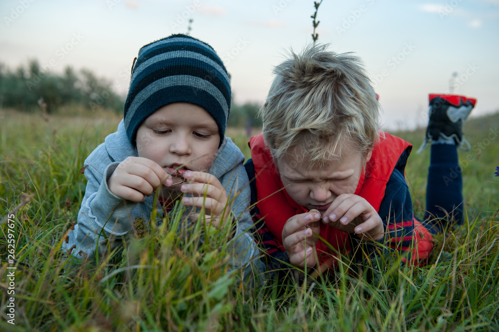 happy children playing in field sown with winter wheat against backdrop ...