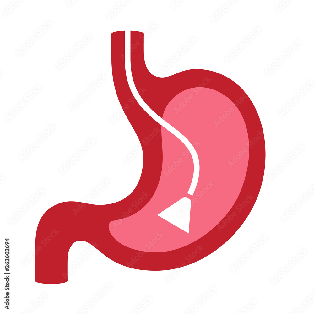 Endoscopy vector icon Stock Vector | Adobe Stock