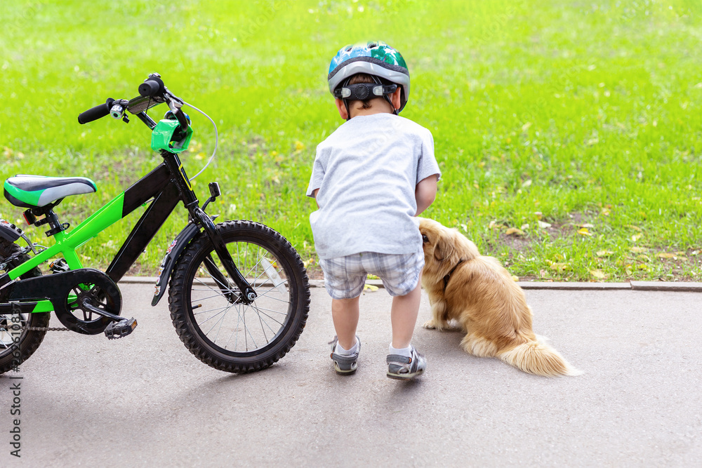 Kid riding bicycle in city park and stopped to meet cute little dog ...