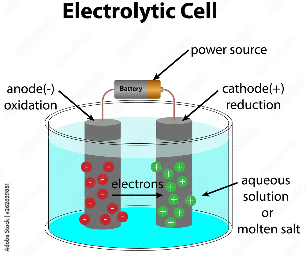 Electrolytic Cell Diagram Stock Vector | Adobe Stock Electrolytic Cell Diagram Stock Vector | Adobe Stock