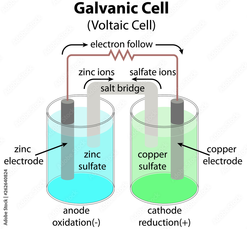 Galvanic Cell Diagram Stock Vector | Adobe Stock