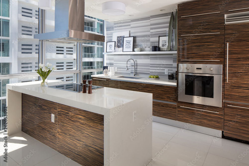 miami apartment interior kitchen with zebra wood cabinets. Stock Photo ...