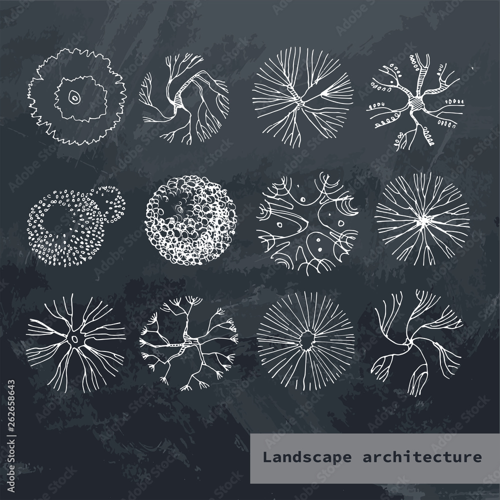 Top view vector set of different trees.Hand drawn illustration for ...