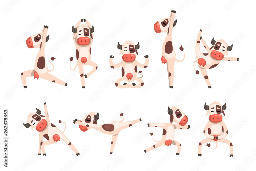 White spotted cow set, farm animal character doing sport exercise ...