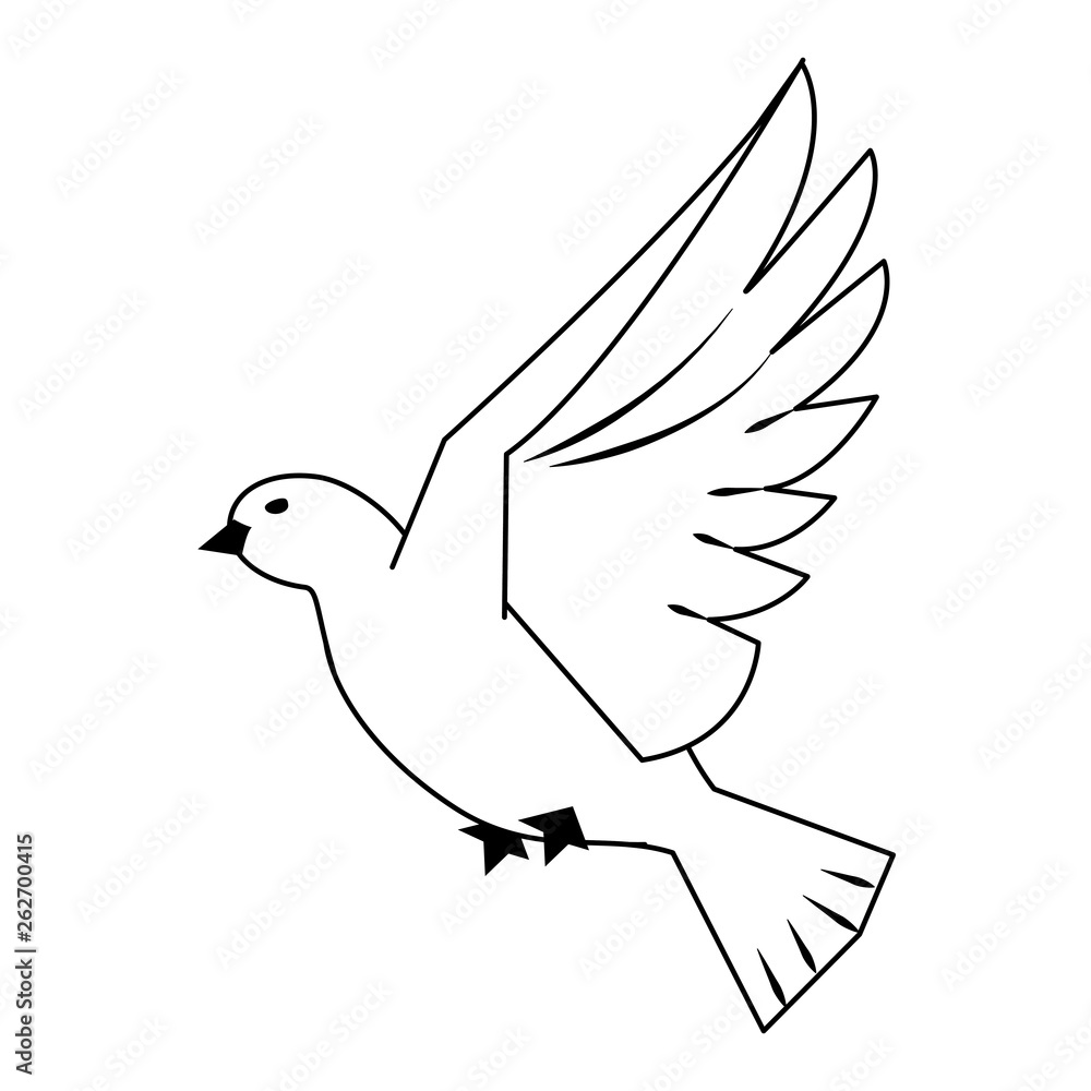Dove Flying Animation