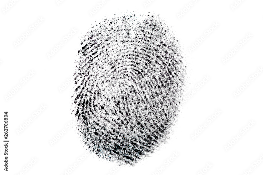 Real fingerprint on white background. Dactylogram, biometric and ...