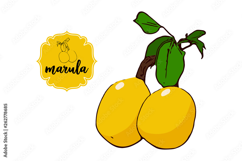 Vetor de Cartoon drawn marula isolated on white. Yellow retro store ...