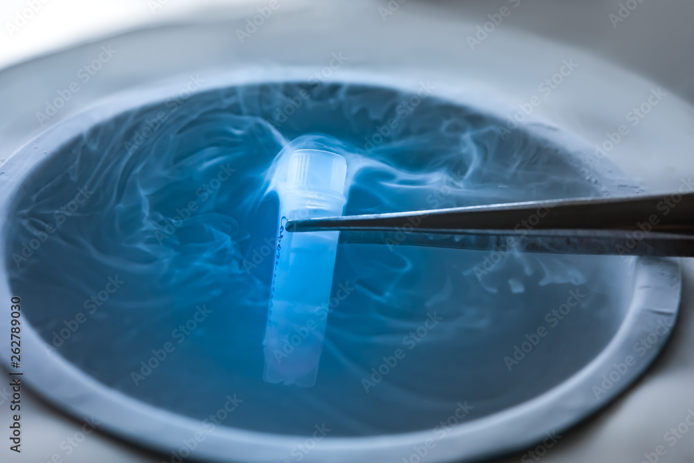 Cryopreservation of test tube on liquid nitrogen, a liquid nitrogen ...
