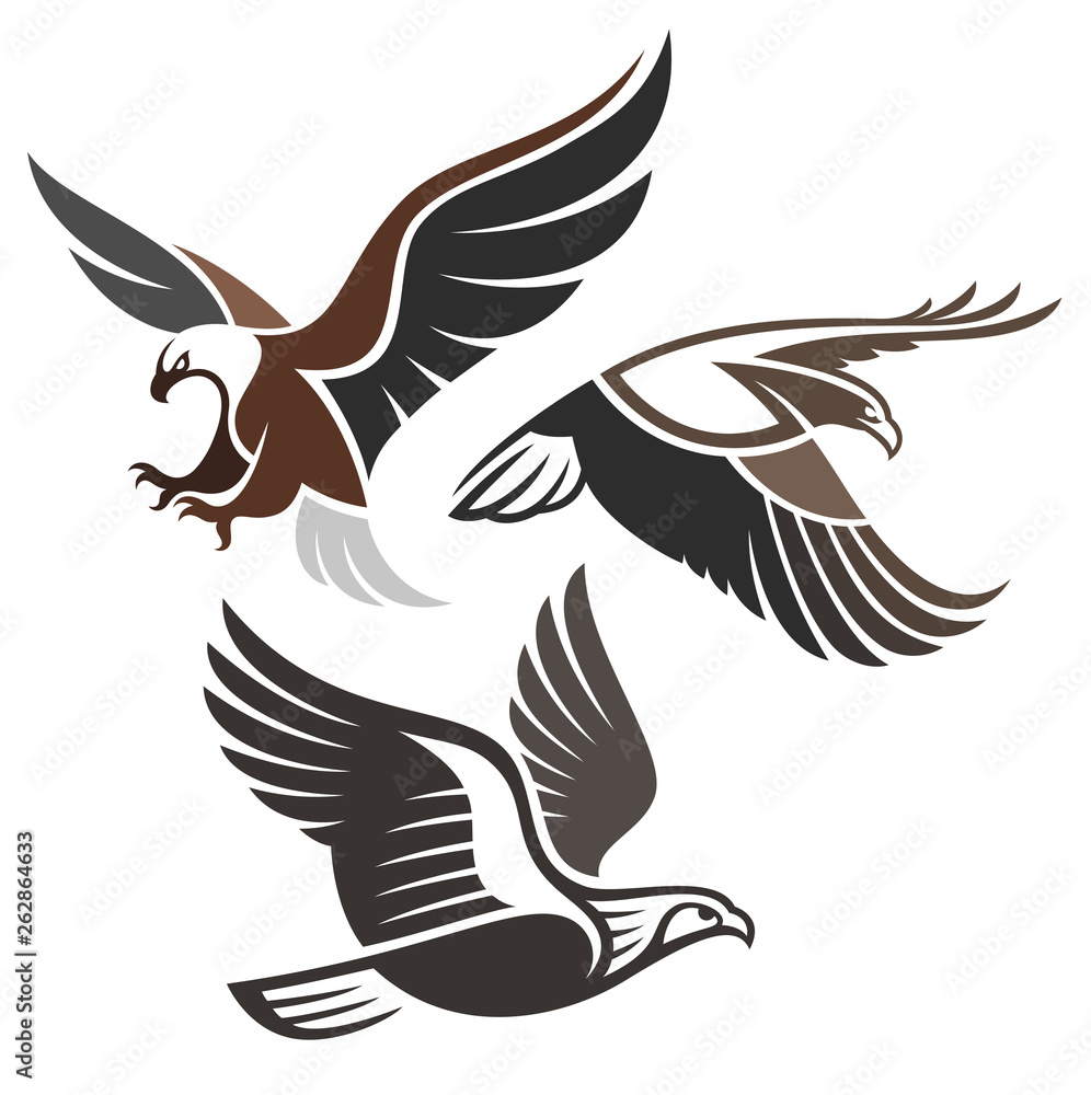 Stylized Birds in flight - Eagles Stock Vector | Adobe Stock
