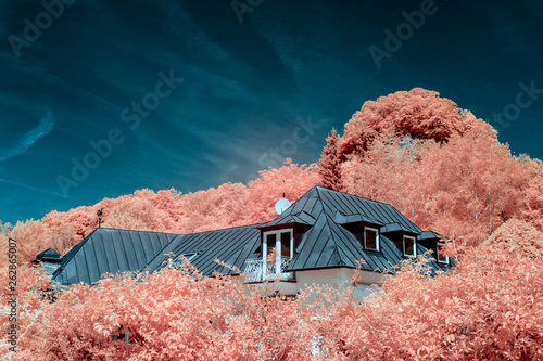 Infrared Photography | The largest selection of gifts and posters | 3+1 ...