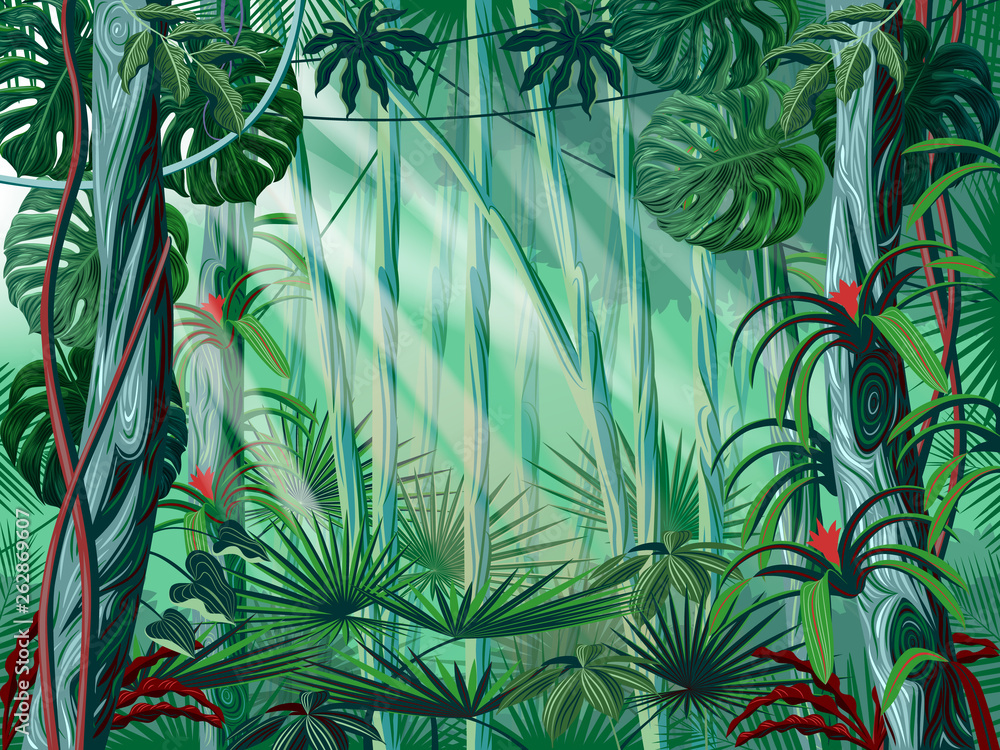 Jungle Drawing Background