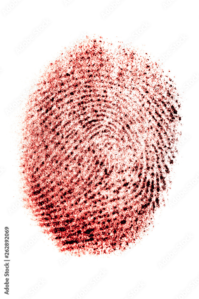 Real fingerprint in red color on white background, bloody thumbprint ...