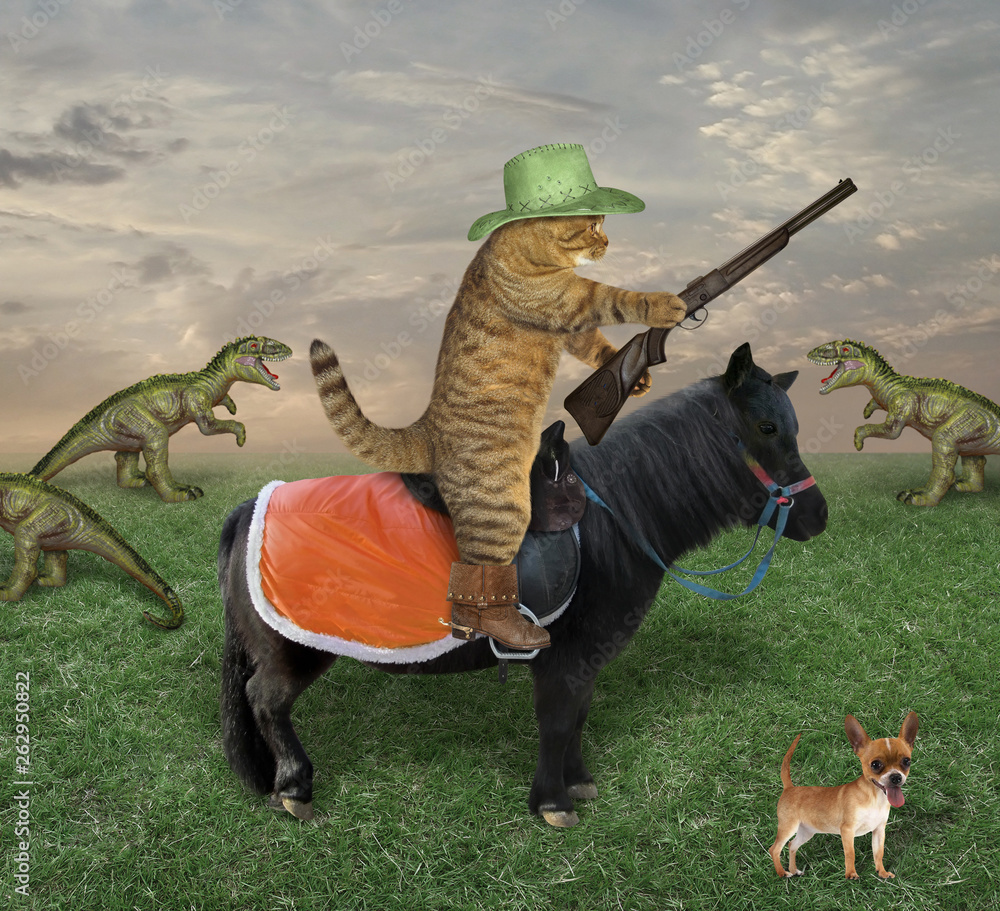 Cats With Guns Vs Dogs With Guns