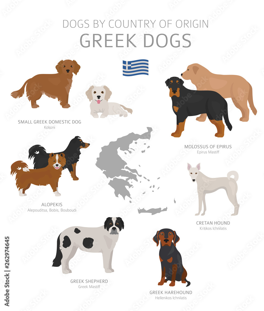 What Is The Purpose Of A Greek Shepherd