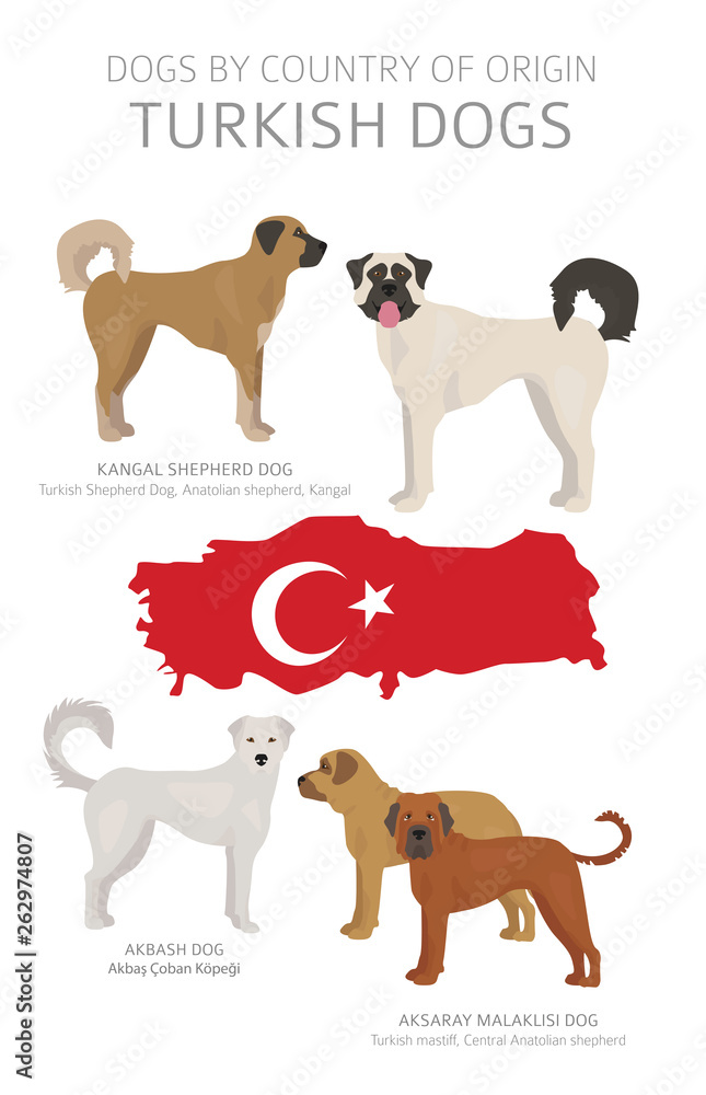 Dogs by country of origin. Turkish dog breeds. Shepherds, hunting ...
