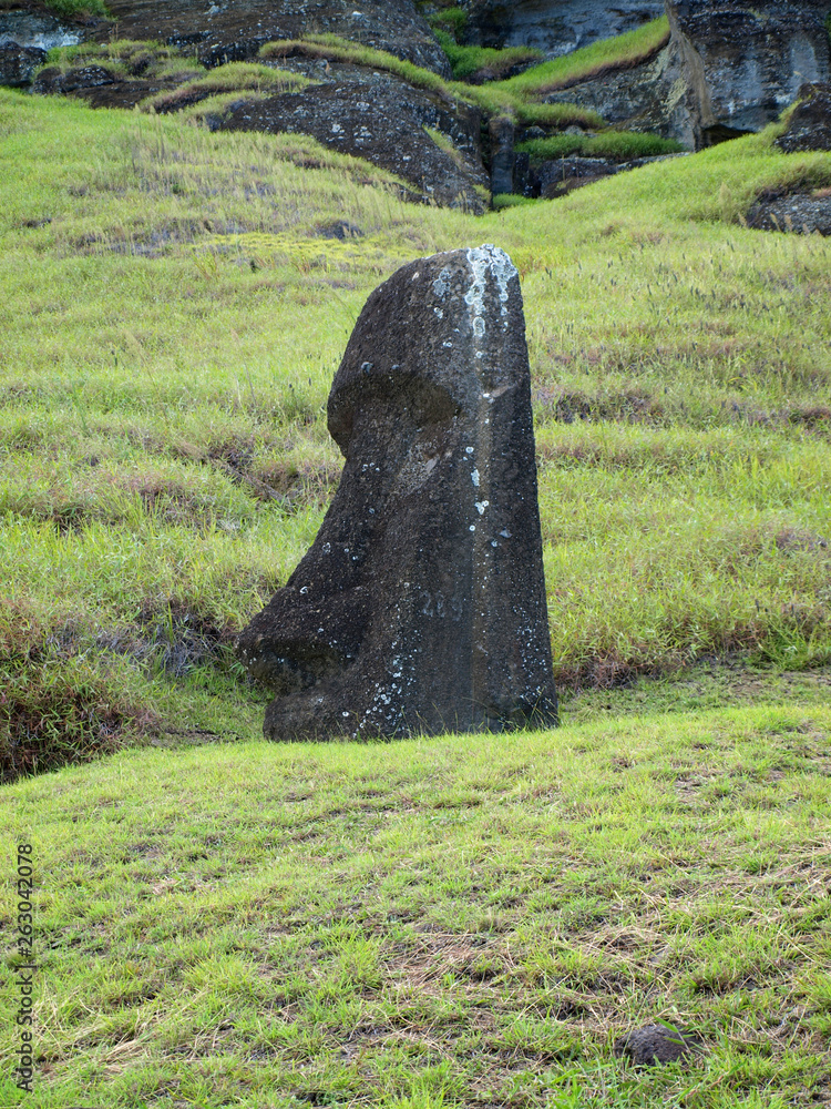 Moai, Stone Head Sculpture in Rapa Nui, Easter Island, Chile. Stock ...