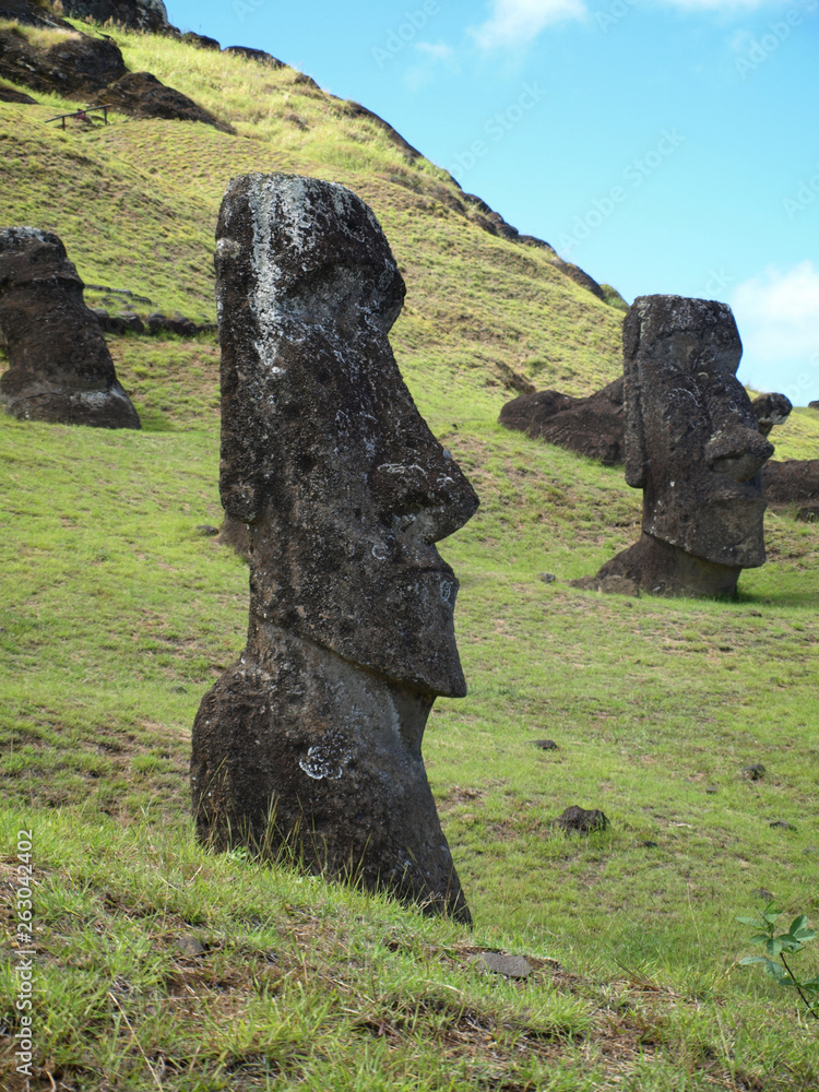Moai, Stone Head Sculpture in Rapa Nui, Easter Island, Chile. Stock ...
