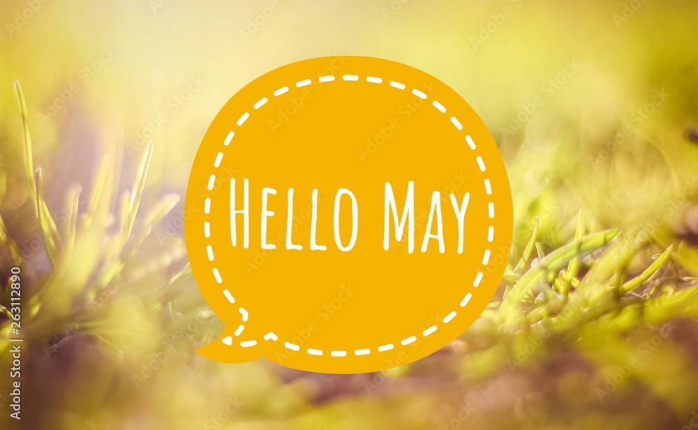 Banner Hello May. Greeting the new month. Picture with flowers. Text on ...